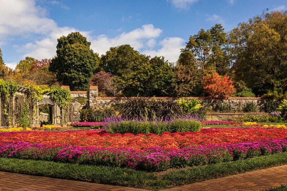 Spring Flower Festivals | HelloVacay | Travel Reimagined